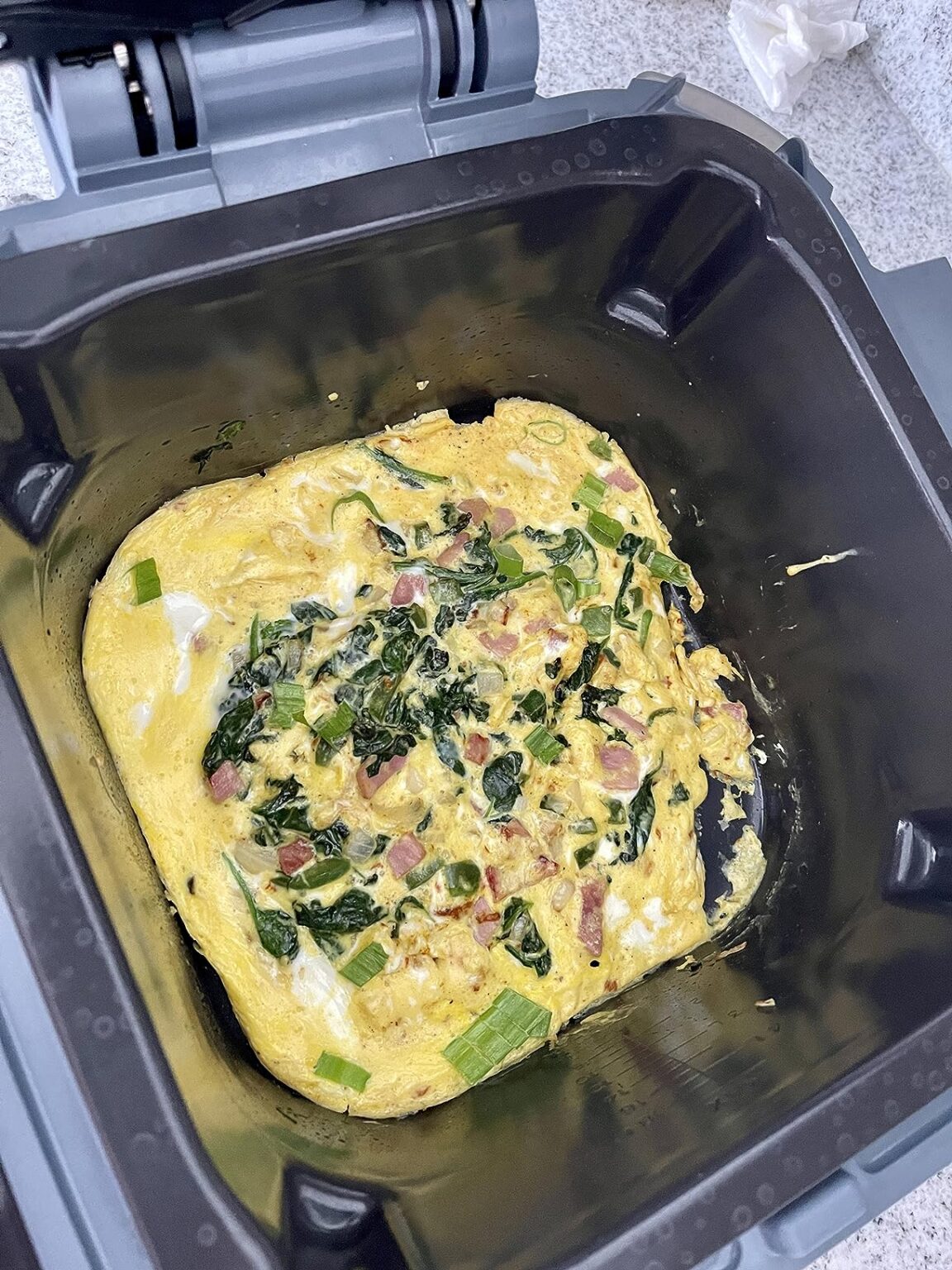 Ninja Speedi SF301 Review: 12-in-1 Rapid Cooker Test