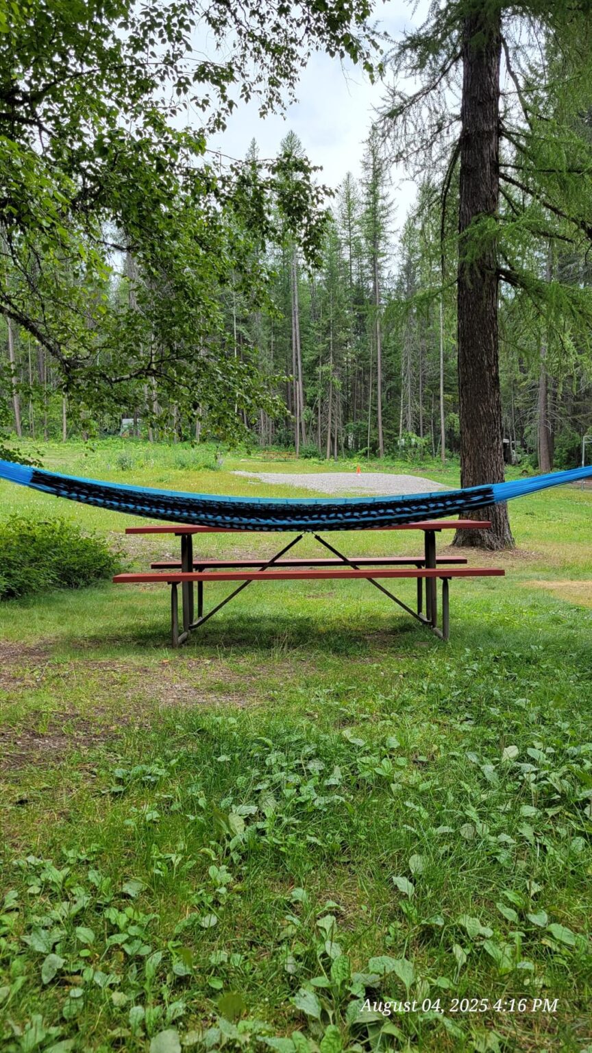 Best Hammocks 2026: 12 Top Picks for Camping & Comfort