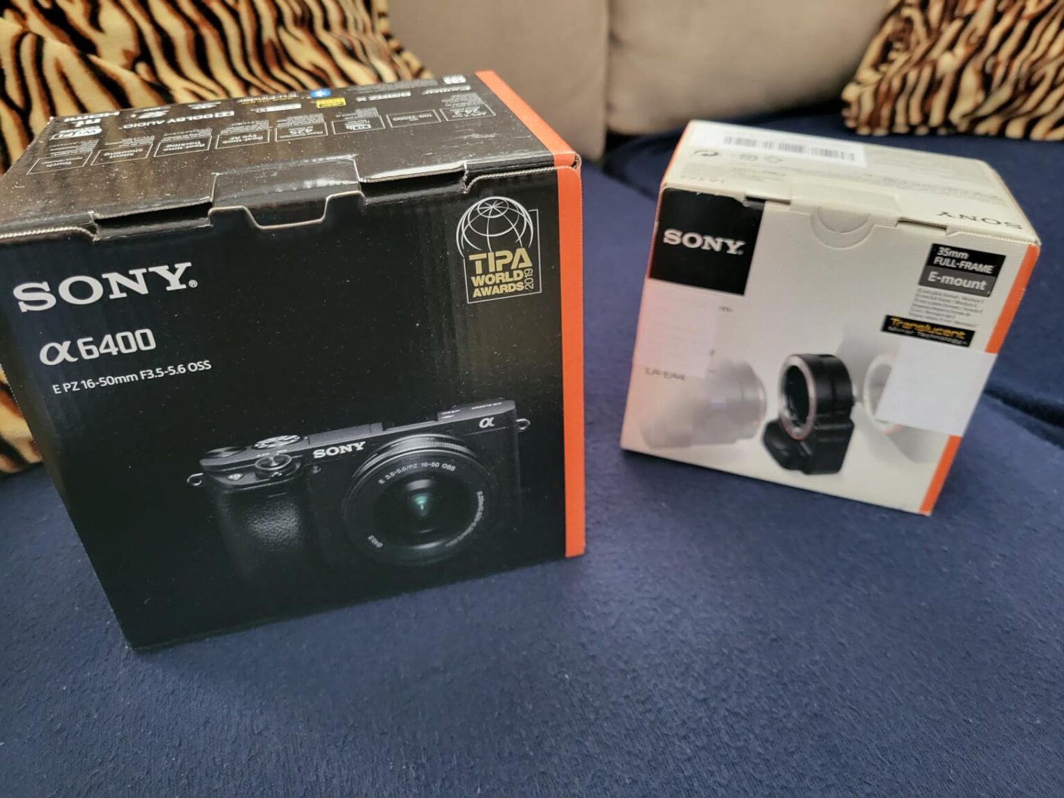 Best Cameras for Low Light 2026: 12 Models Tested & Reviewed