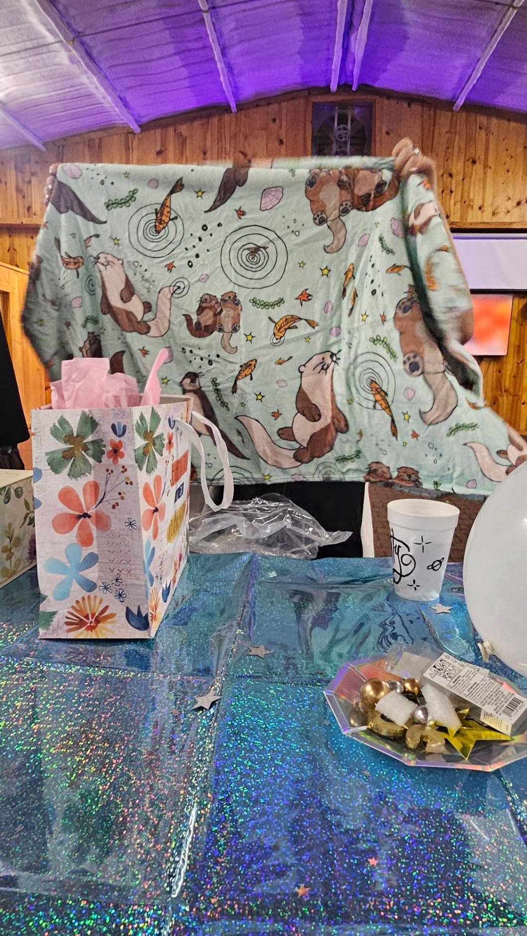 Best Otter Gifts 2026: 10 Adorable Ideas for Fans