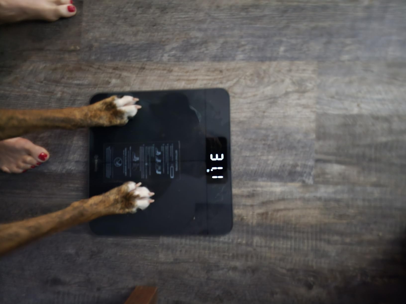 Best Bathroom Scales (2026): Top 10 Expert Tested Picks