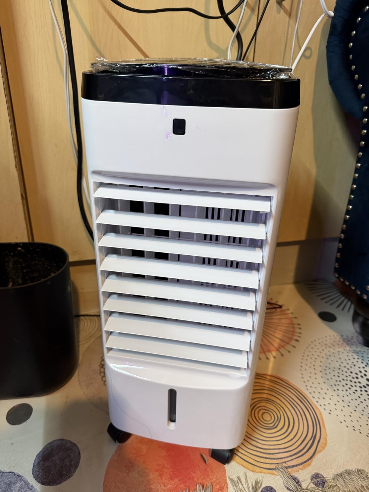 10 Best Portable Evaporative Coolers (2026): Tested for Efficient Cooling